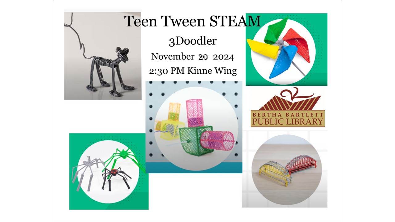 Teens & Tweens :: Bertha Bartlett Public Library